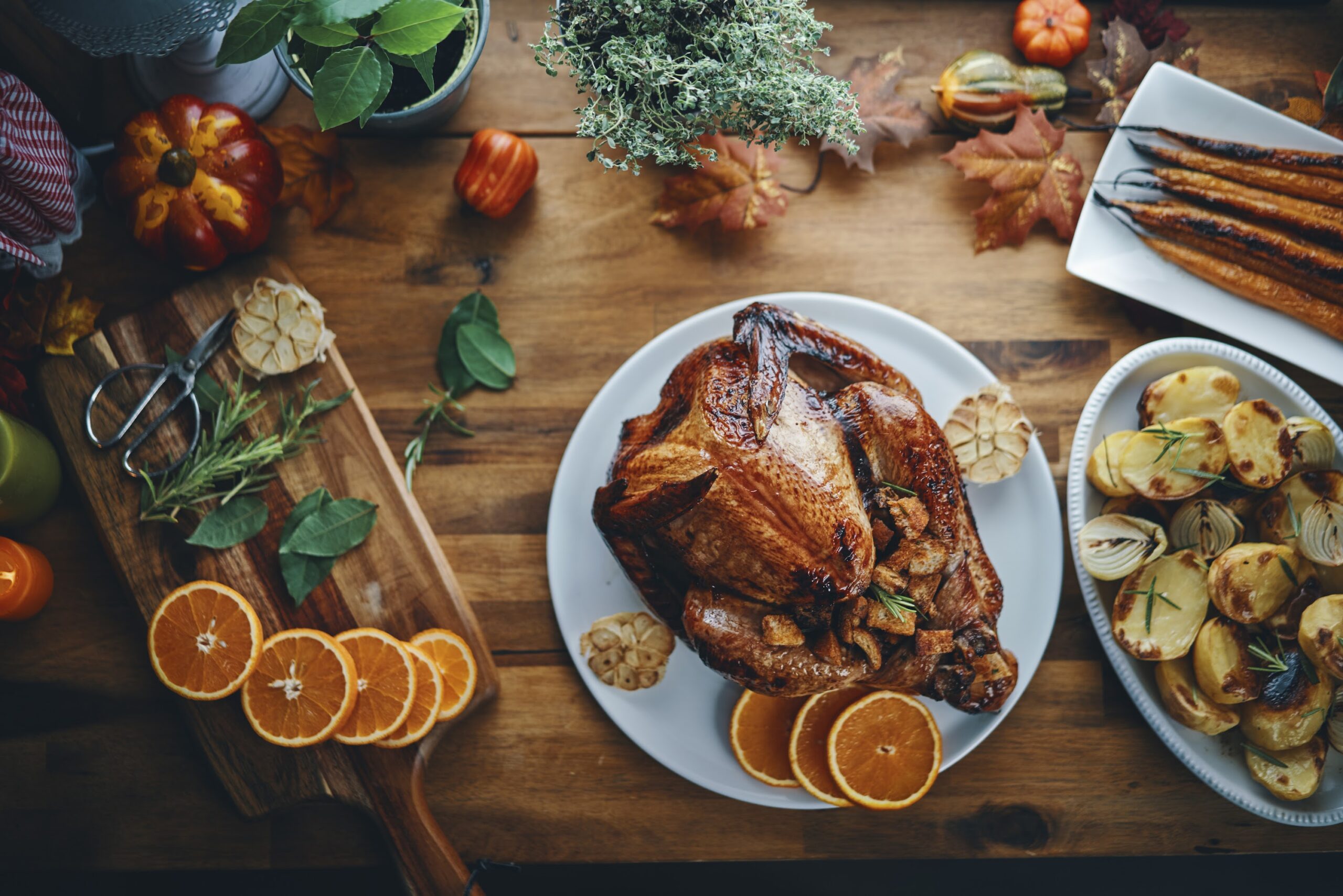 Common Thanksgiving Plumbing Issues and How to Avoid Them - AZ Family ...